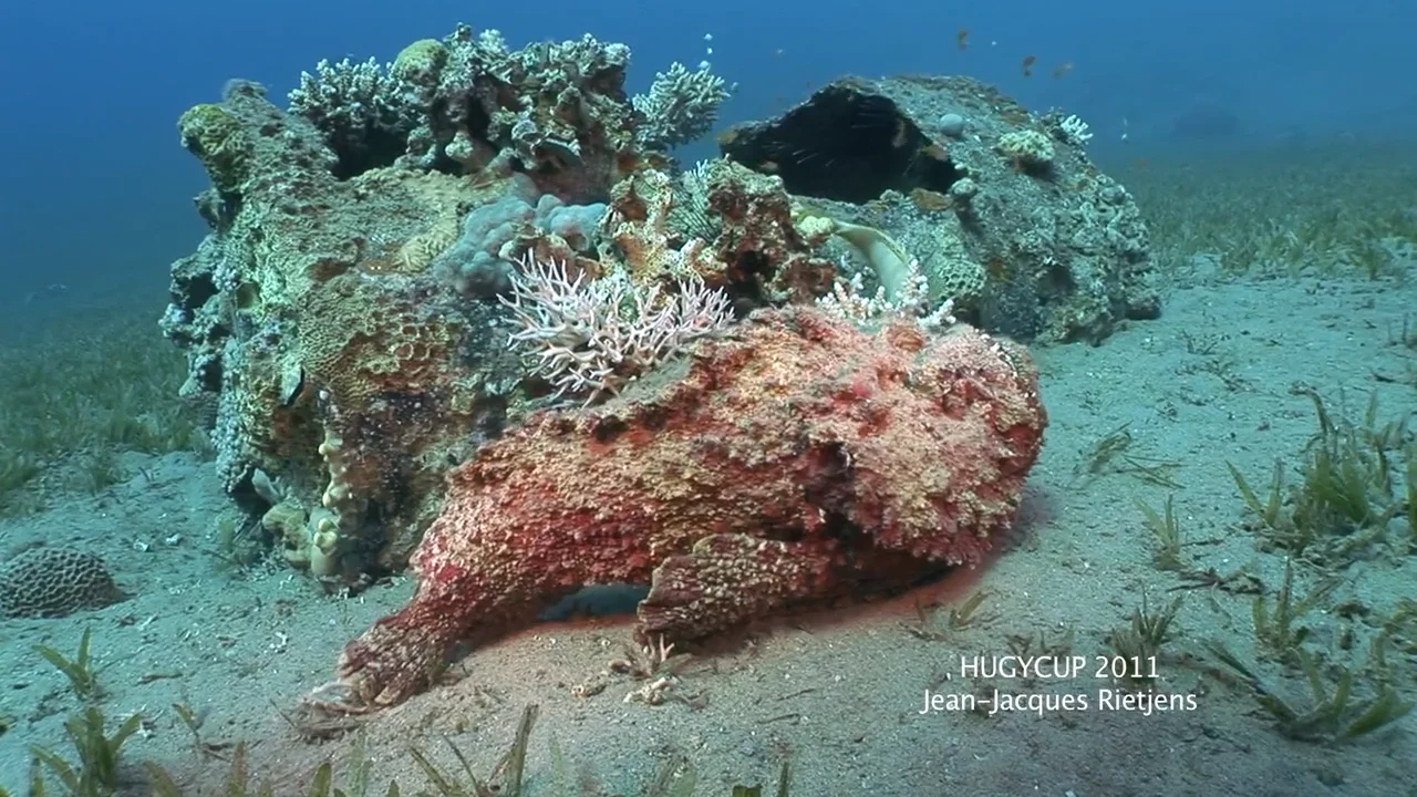 ' Home ' made by Jean-Jacques Rietjens (JaRi)