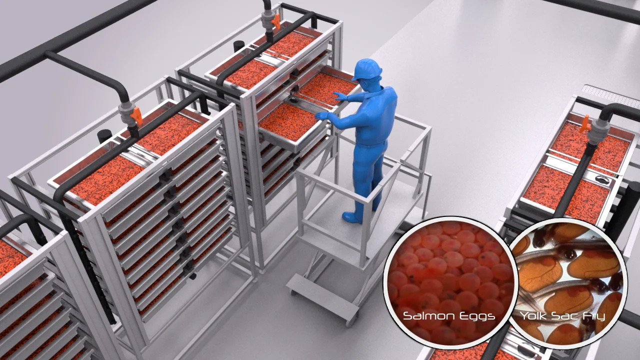 KUBEhatch_Anim.mp4 on Vimeo