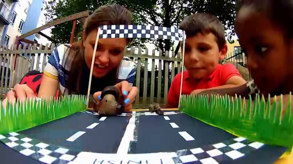 BBC Cbeebies Polska promo - My Pet and Me / Nasze zwierzaki on Vimeo