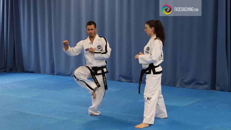 Taekwondo Ready Stance