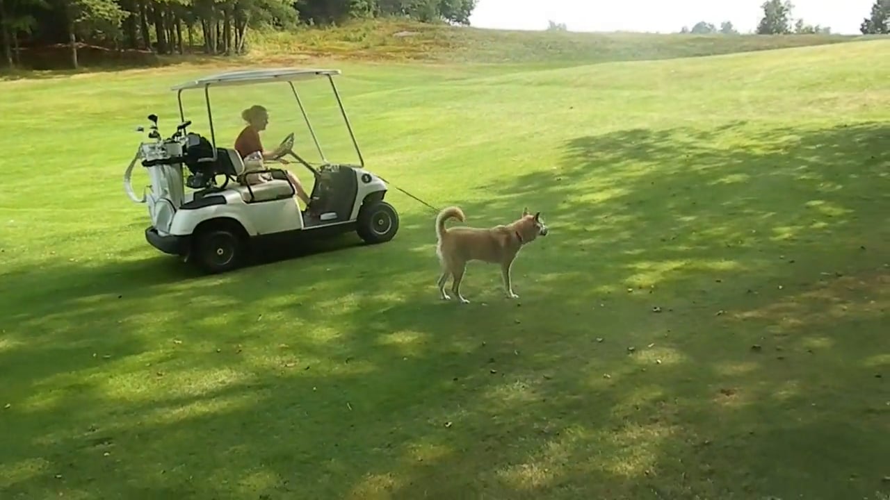 Bracebridge Golf Club - Golf Day on Vimeo