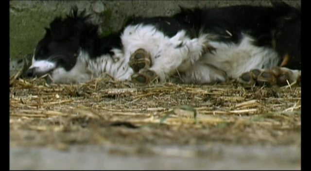 Ken Wardrop on Vimeo