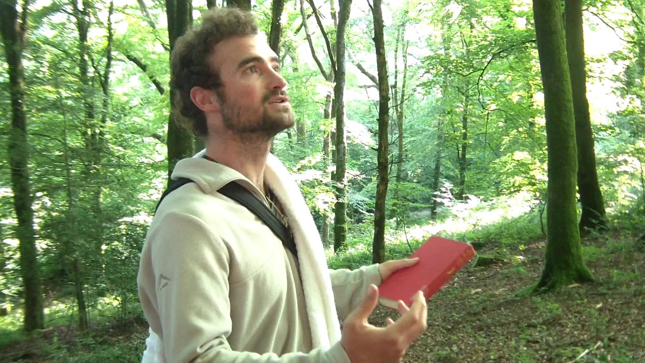 Woods - a walk by Sam Chevalier part 3 on Vimeo