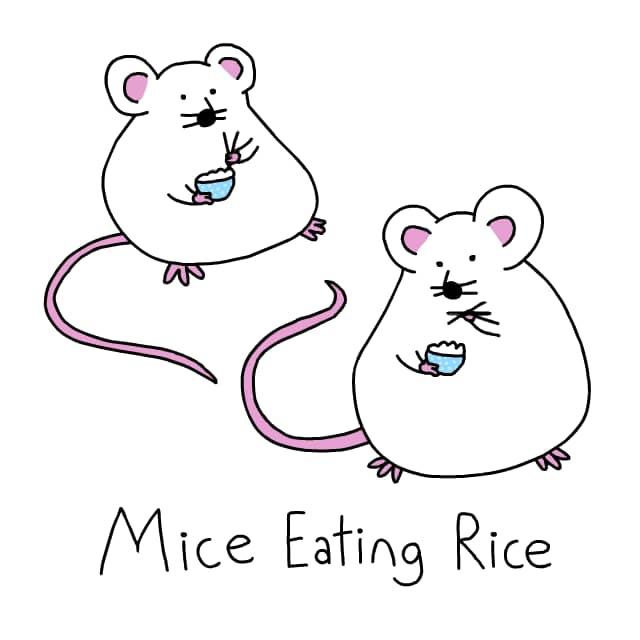 Mice Eating Rice on Vimeo