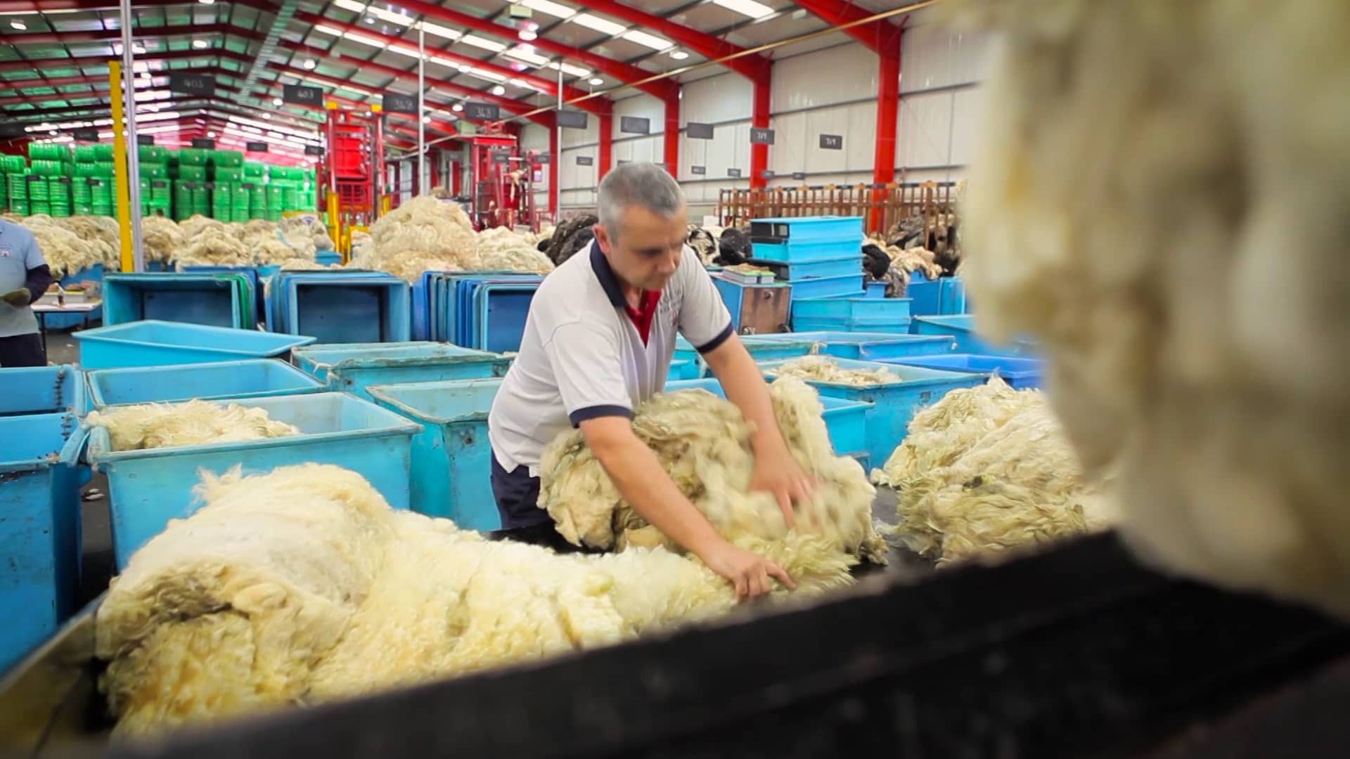 British Wool Board - The Grader on Vimeo