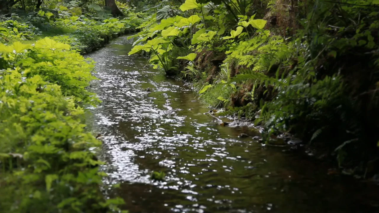 Barry Mill - Angus on Vimeo