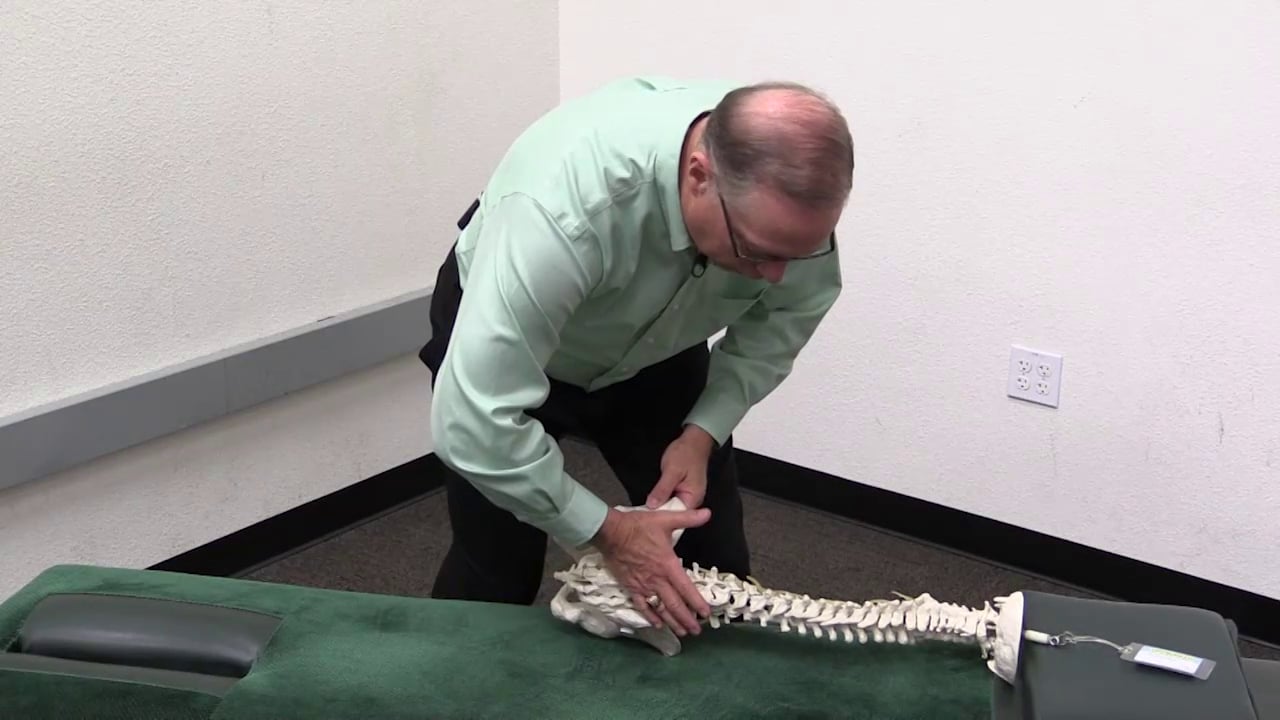 Technique Reviews (Click here to return to collection) - 29. Bump Body ...