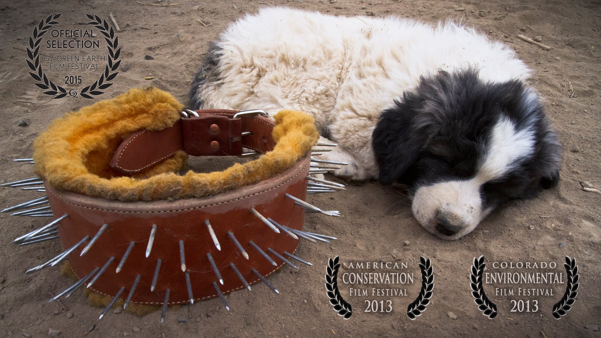Livestock Guardian Dogs - Working on Common Ground on Vimeo