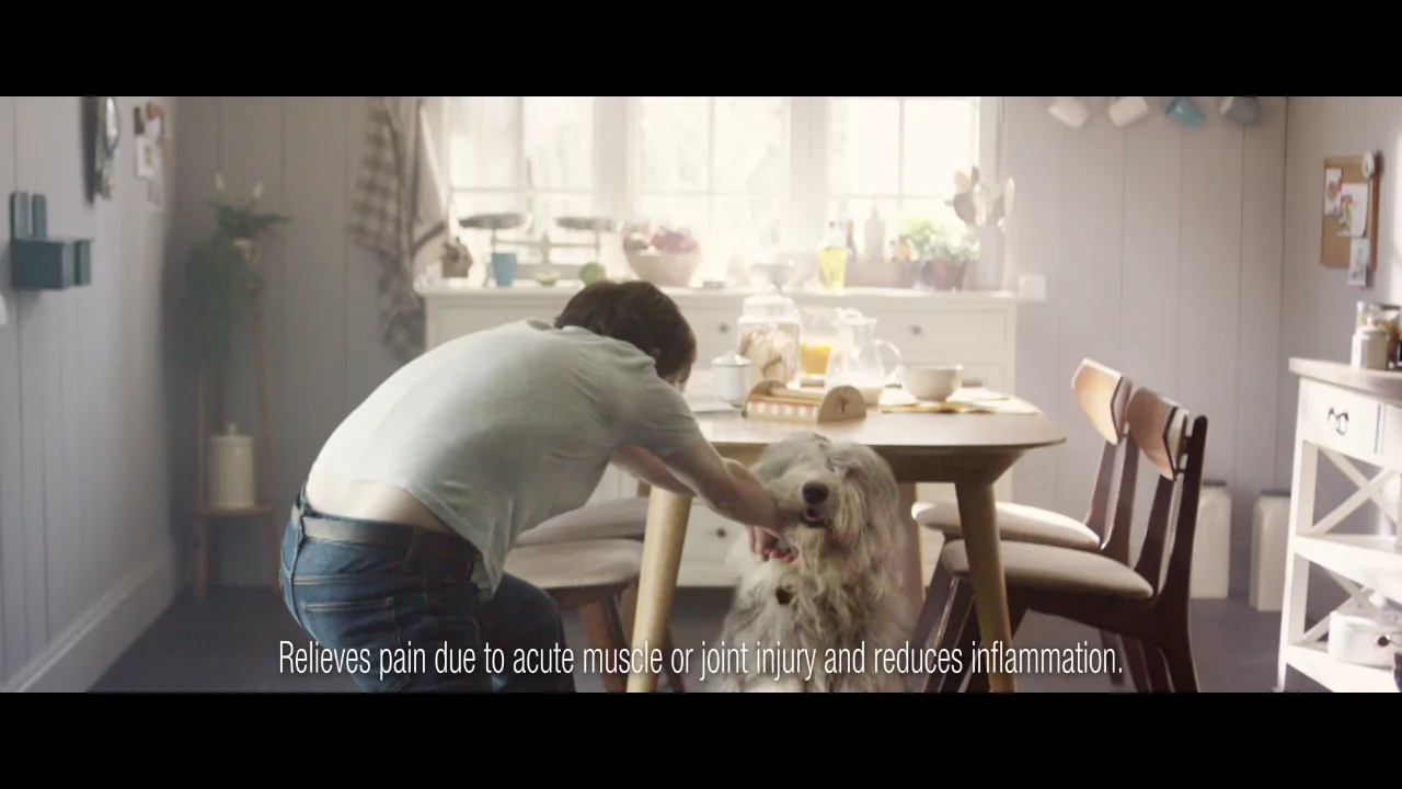 Voltaren – Dog Duel on Vimeo
