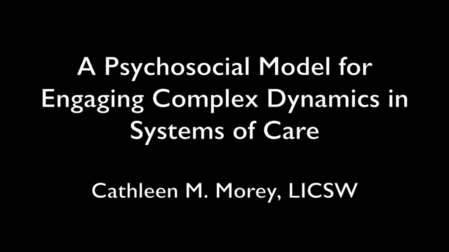 A Psychosocial Model for Engaging Complex Dynamics in Systems of Care ...