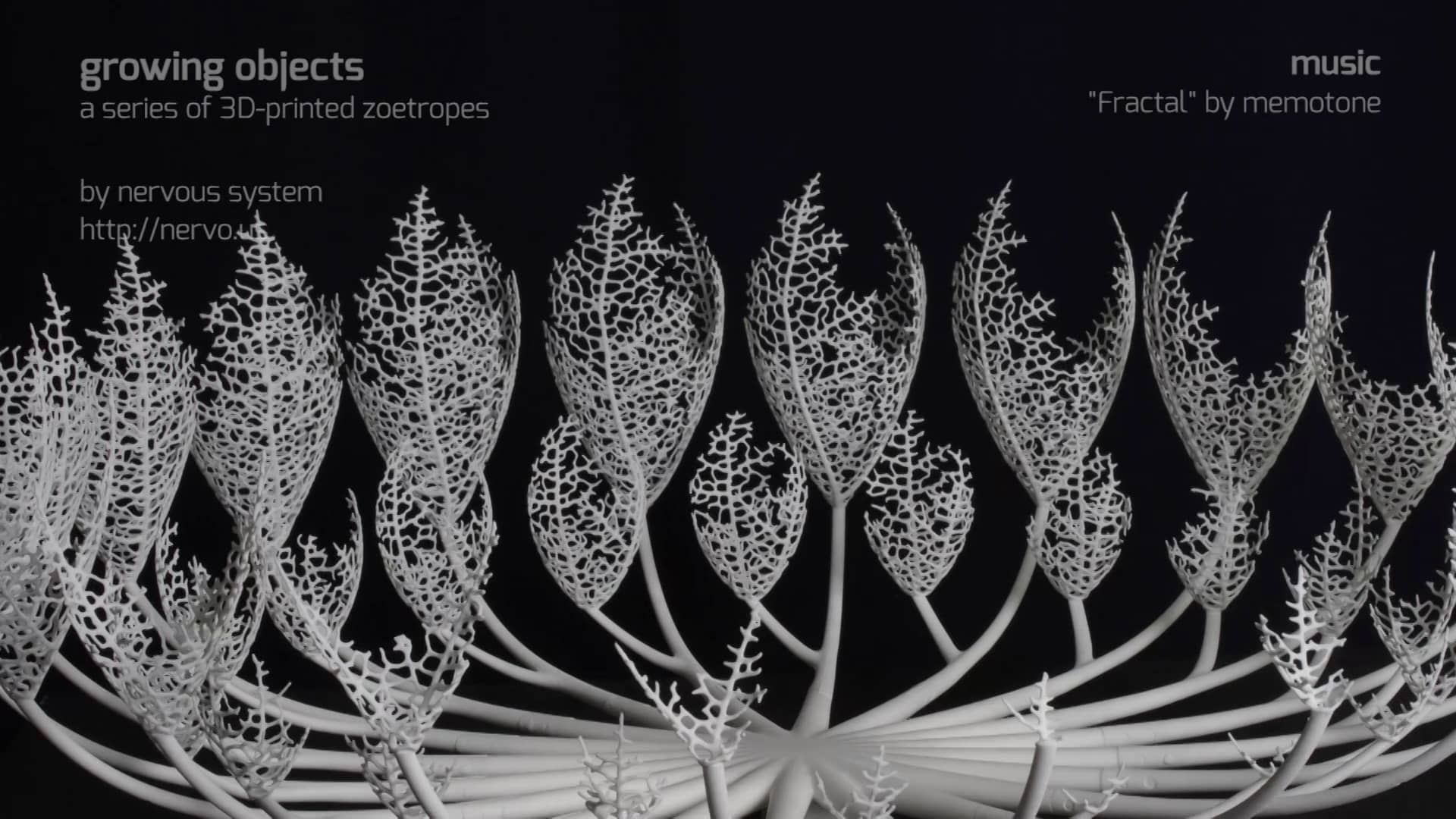 Growing Objects - 3D printed zoetropes on Vimeo
