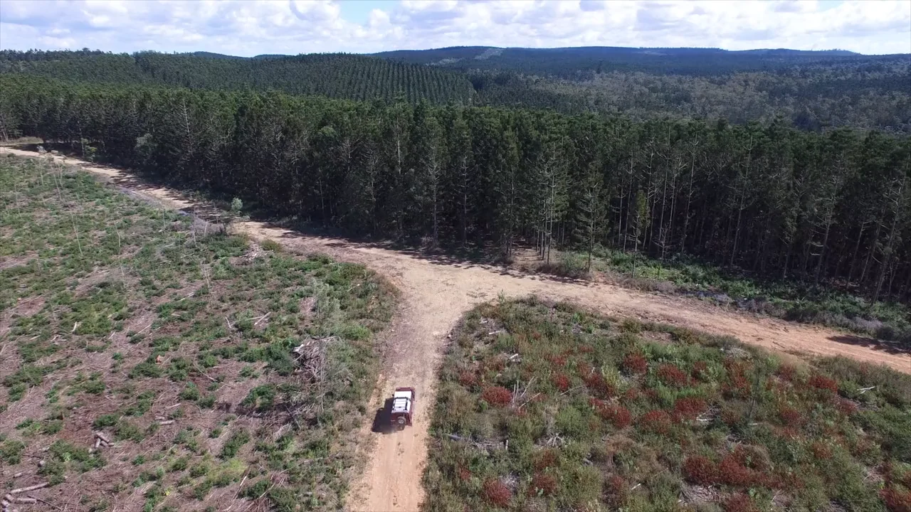 Discover the South Burnett Region: Bunya Mountains, Benarkin State ...