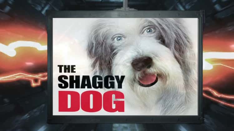 Disney The Shaggy Dog Movie