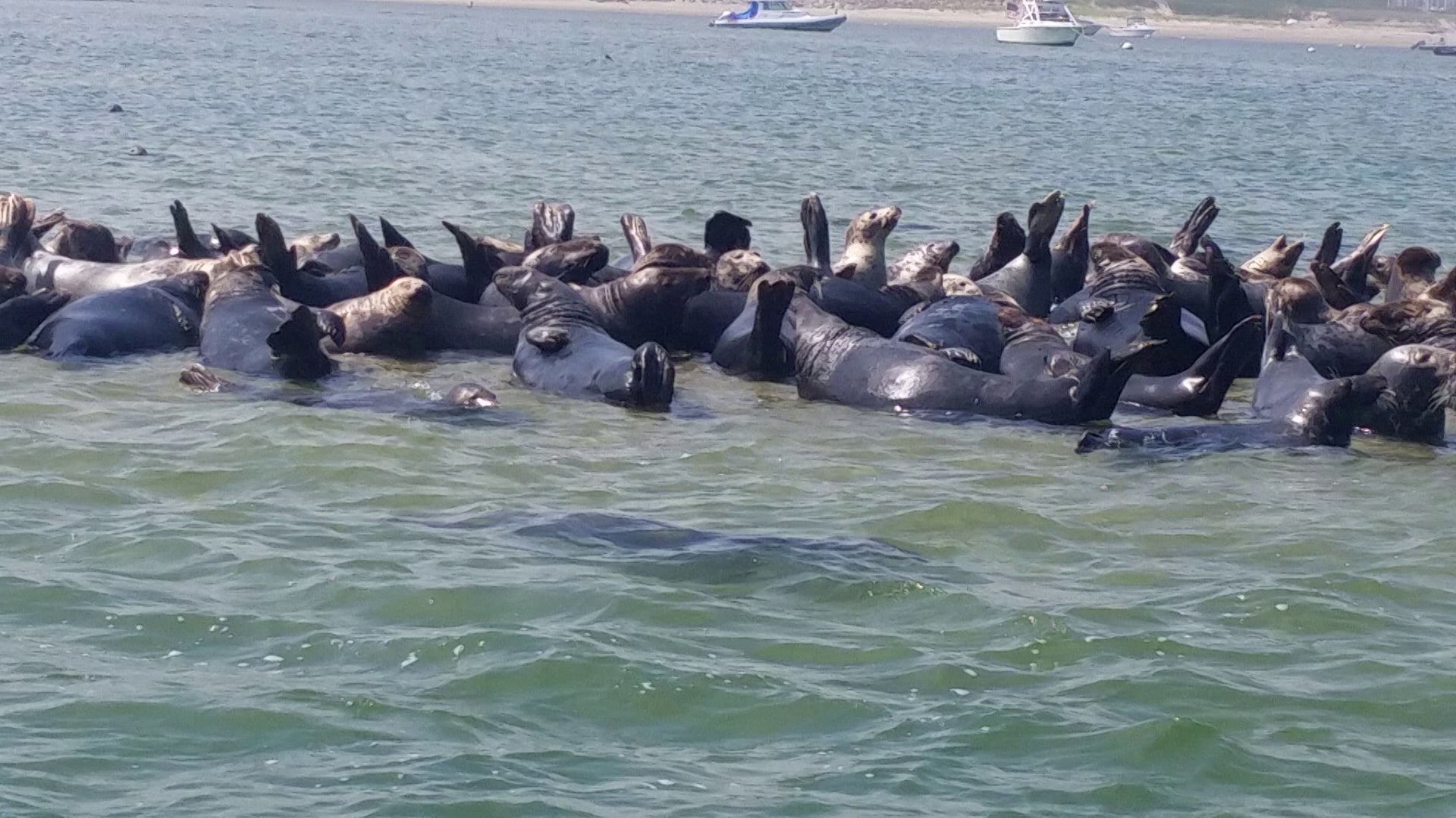 20150825_124839.mp4 on Vimeo