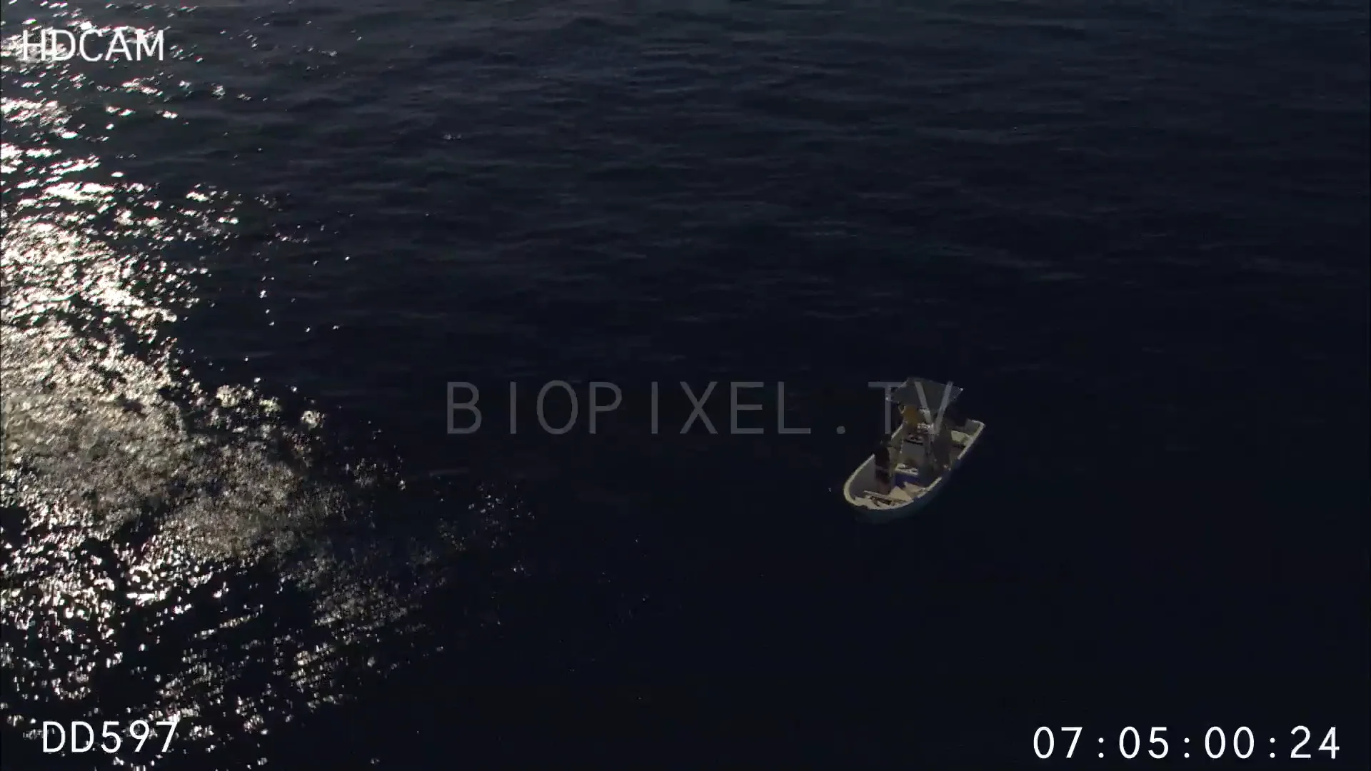 Fishing - Aerial - Recreational fishing on Vimeo