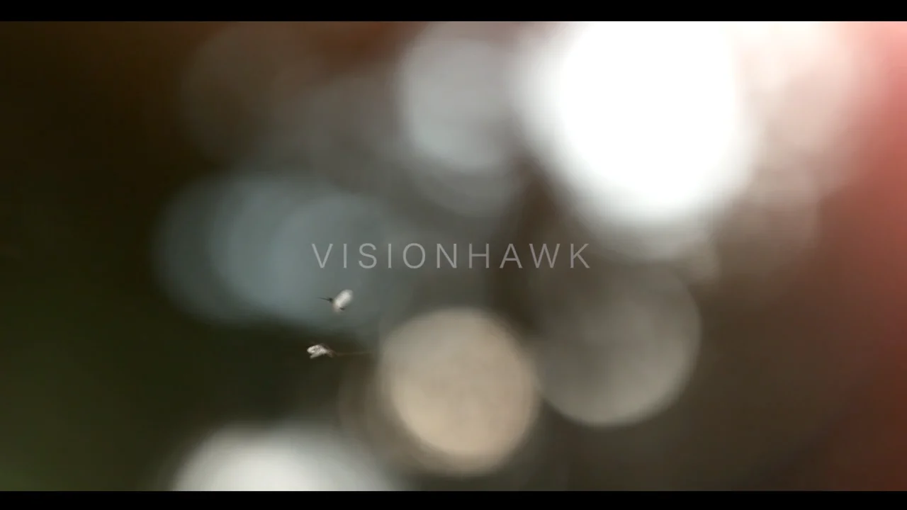 VisionHawk on Vimeo