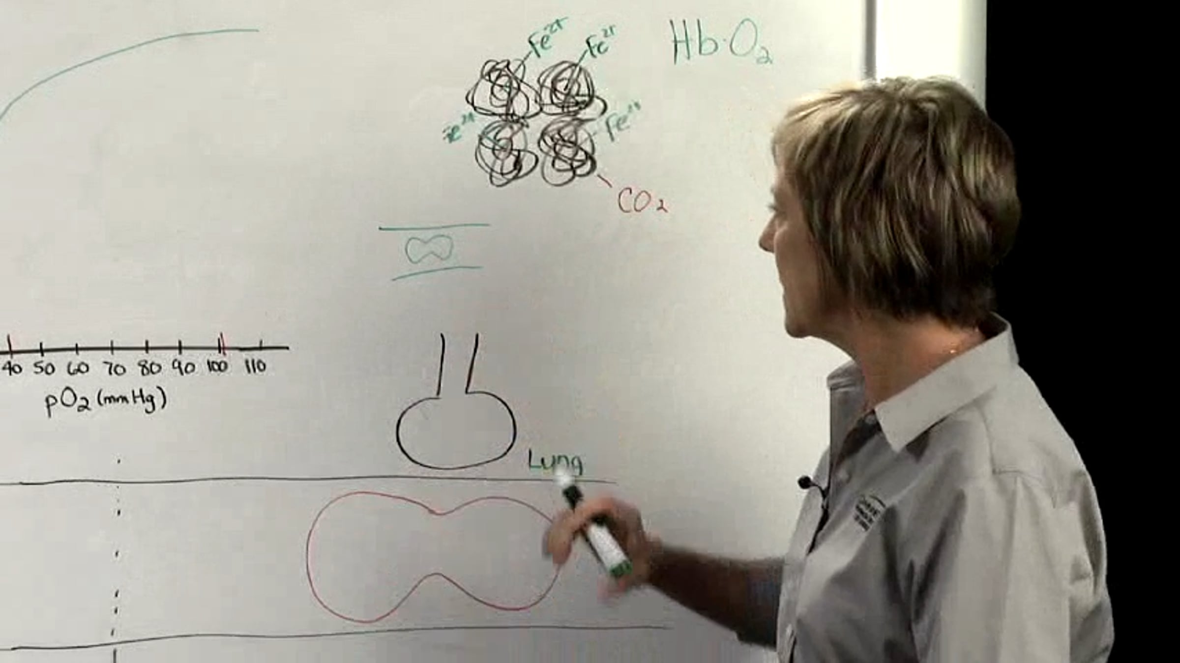 RESPIRATORY 4. Oxygen & CO2
