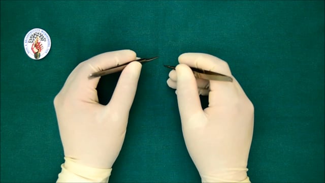 Microsurgery Course (Overseas) on Vimeo