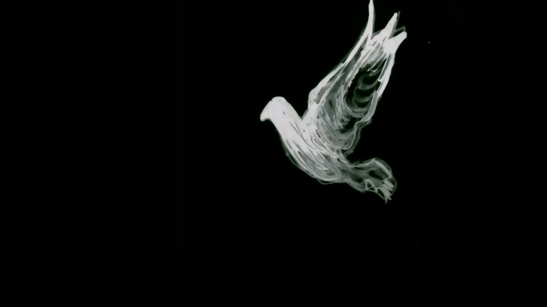 slow bird muybridge