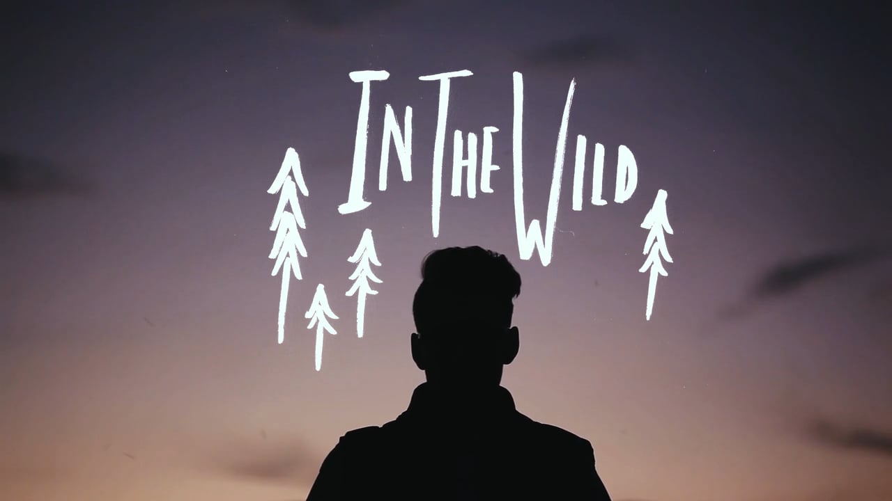 In The Wild – Ryan Cluff on Vimeo