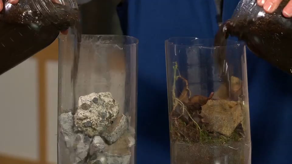 Lesson: Water Filtration Experiment on Vimeo