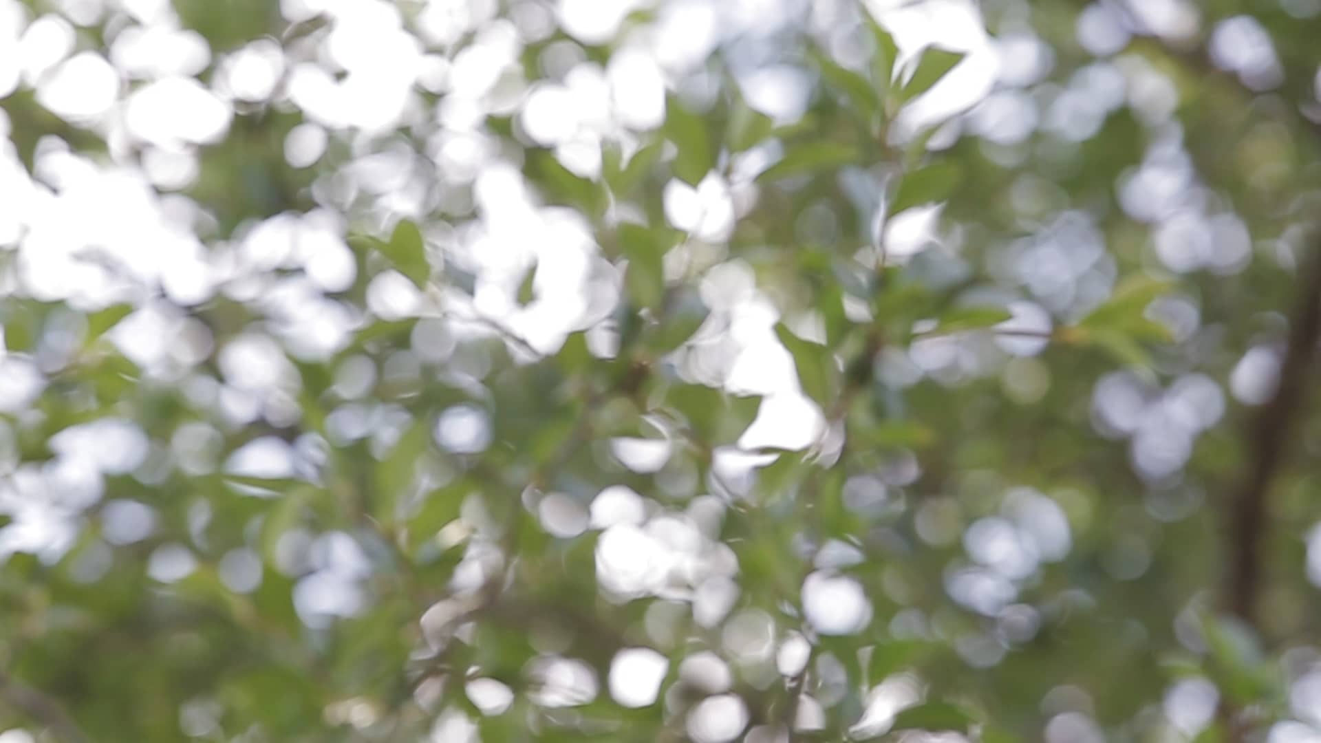 Vemma Bod•ē® Transformation Story: Angelina Cole on Vimeo