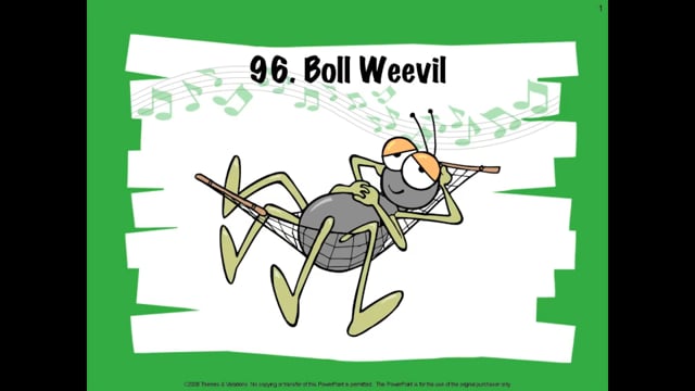 Boll Weevil | MusicplayOnline