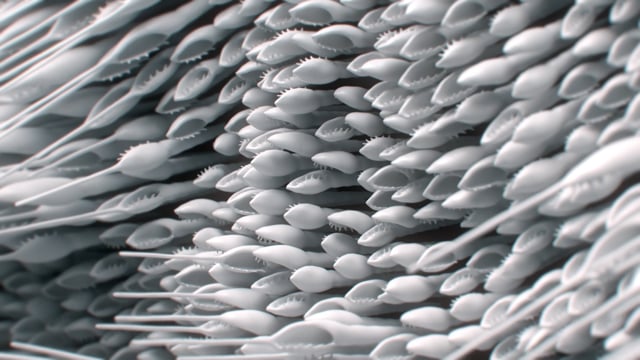 Cinema 4D Visual Effects on Vimeo