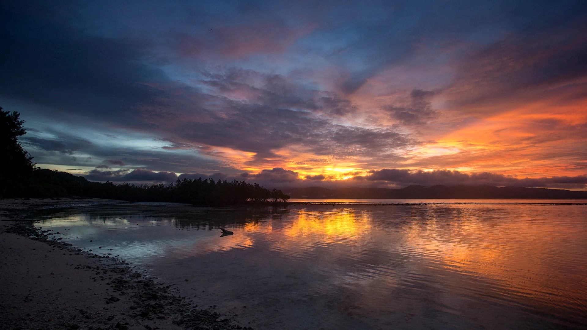 Why Do Science? on Vimeo