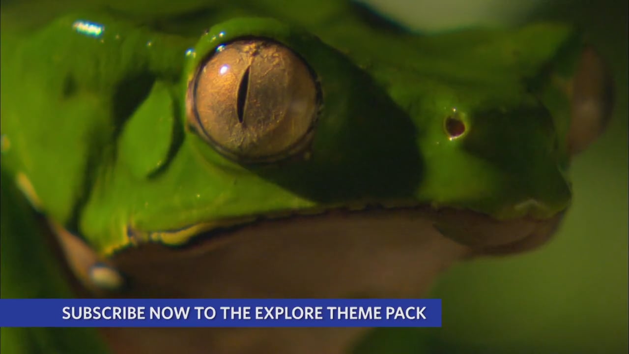 Telus Explore Theme Pack - On-Air Promo on Vimeo