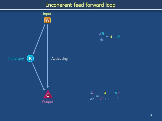 Almost linear stability analysis a: Incoherent feed-forward loop on Vimeo