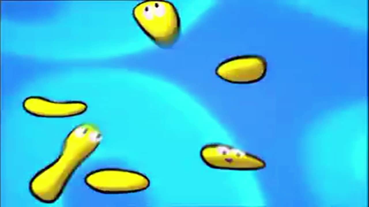 CBeebies Elephant Ident on Vimeo