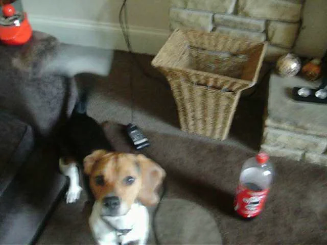 HI HUGO. :) on Vimeo