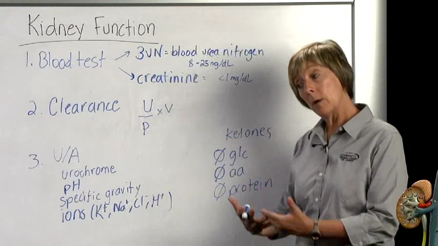 URINARY 4. Kidney Function Tests, Ureters, Bladder, and Micturition