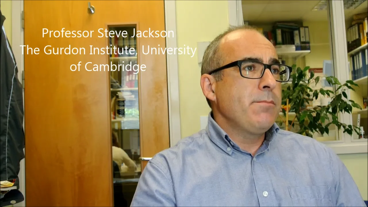 Professor Steve Jackson Interview on Vimeo