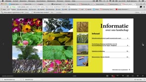 InDesign Tutorials on Vimeo