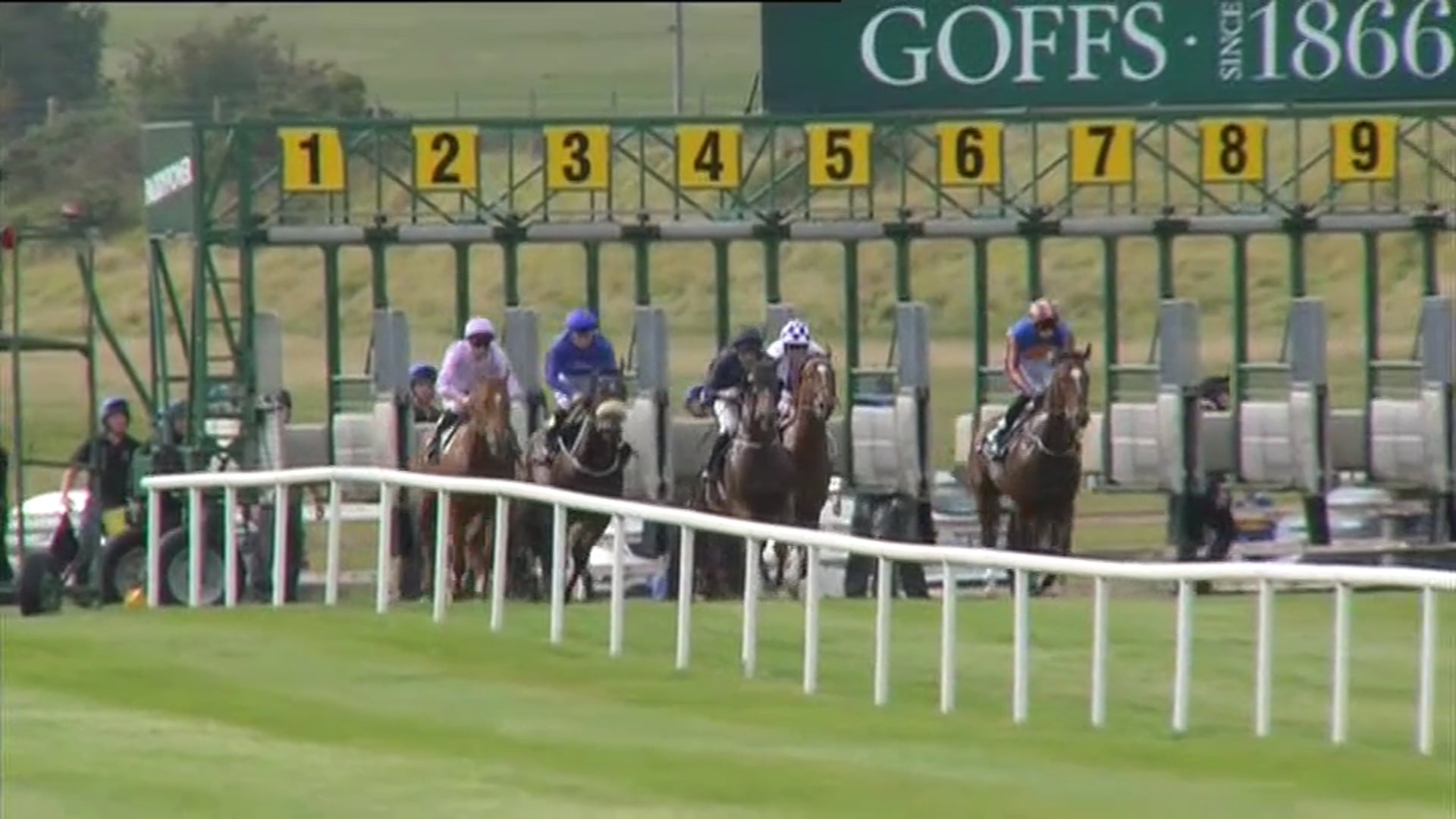 Gleneagles | Stallions - Coolmore Ireland