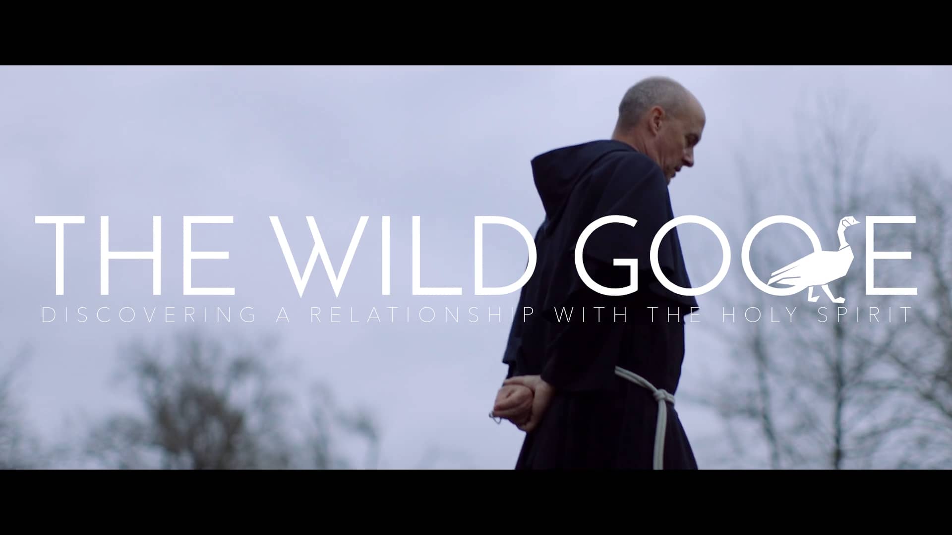 The Wild Goose Intro on Vimeo
