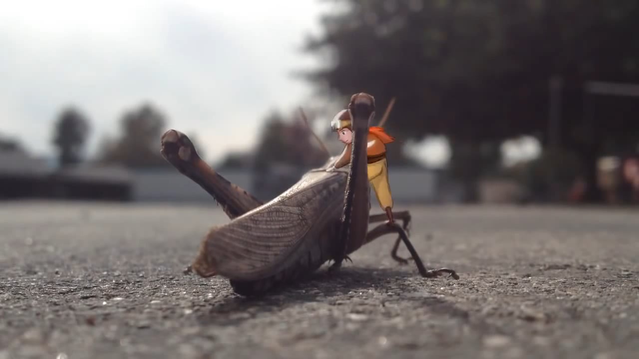 Insect Aviation on Vimeo