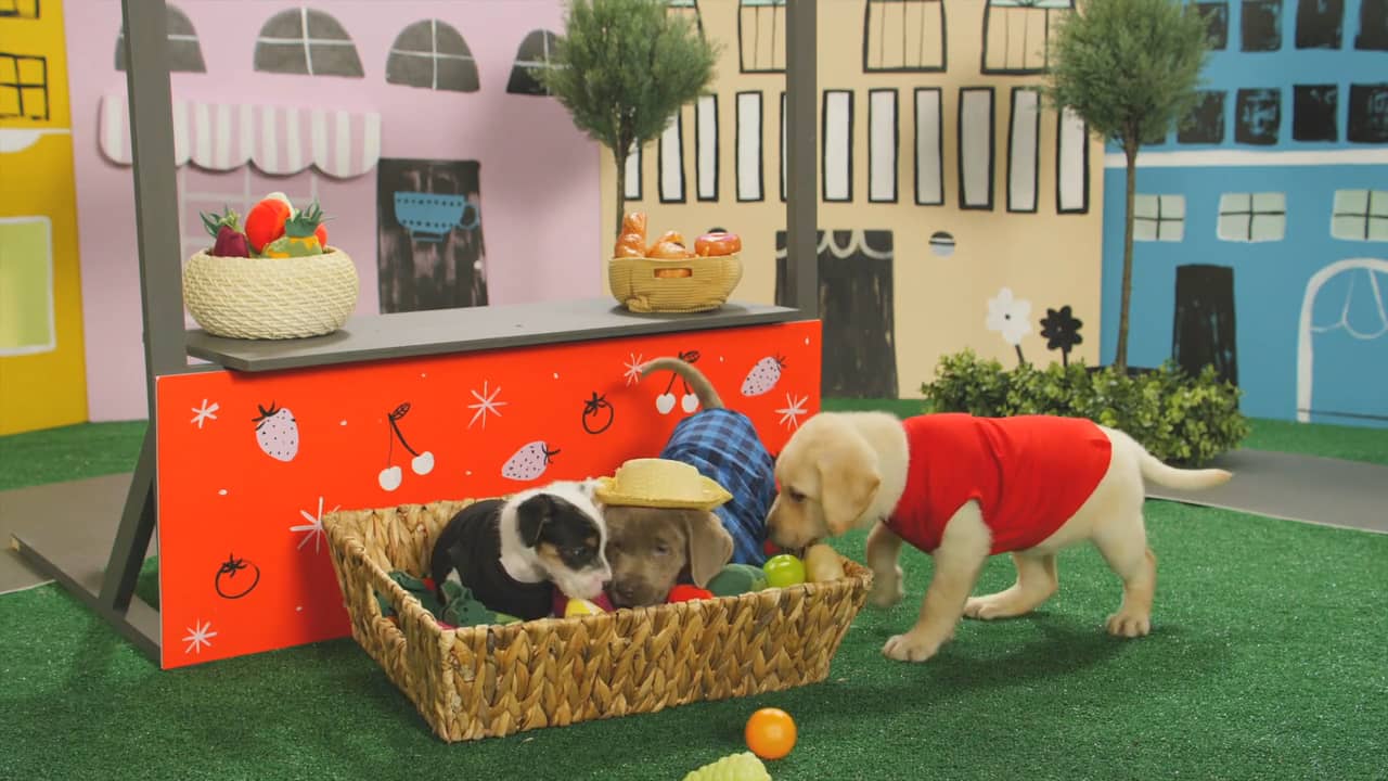 Puppy Town: Busy Farmers Market on Vimeo