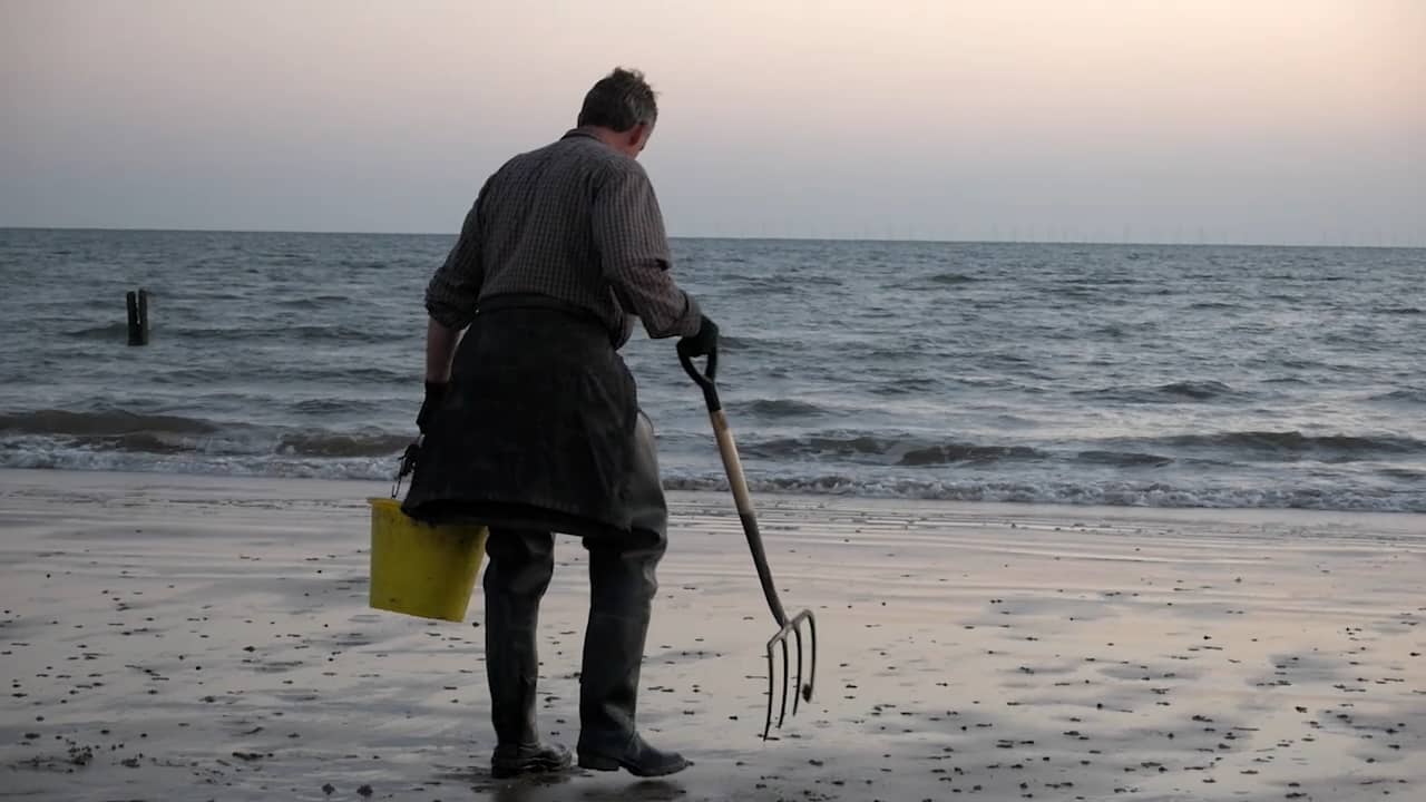 'The Bait Digger' by Ian Bellinger on Vimeo