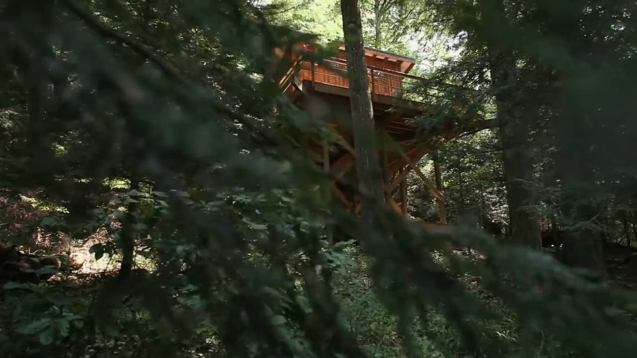 The Treehouse - Summer 2015 on Vimeo