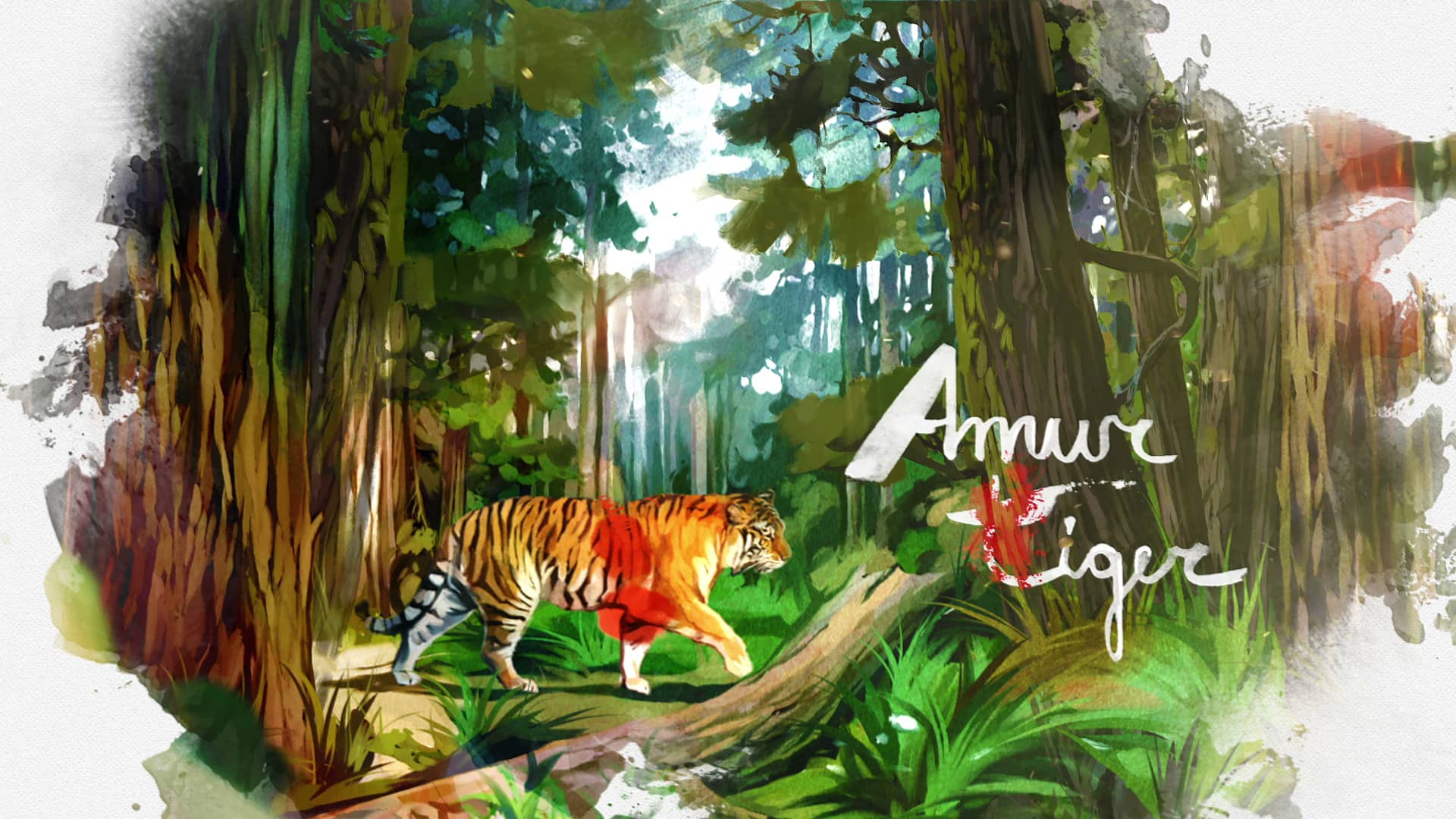 SAVE AMUR TIGER. TOGETHER. on Vimeo