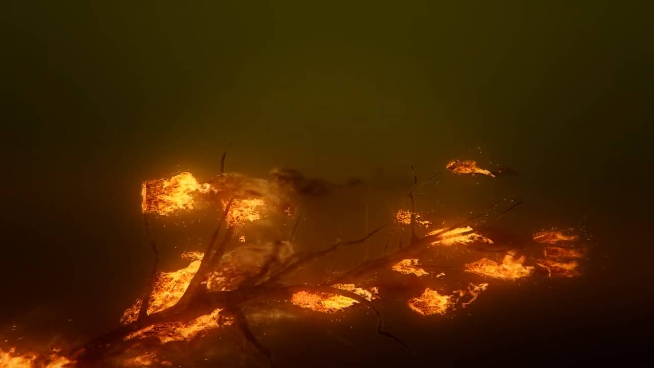 Tree on Fire v2 on Vimeo
