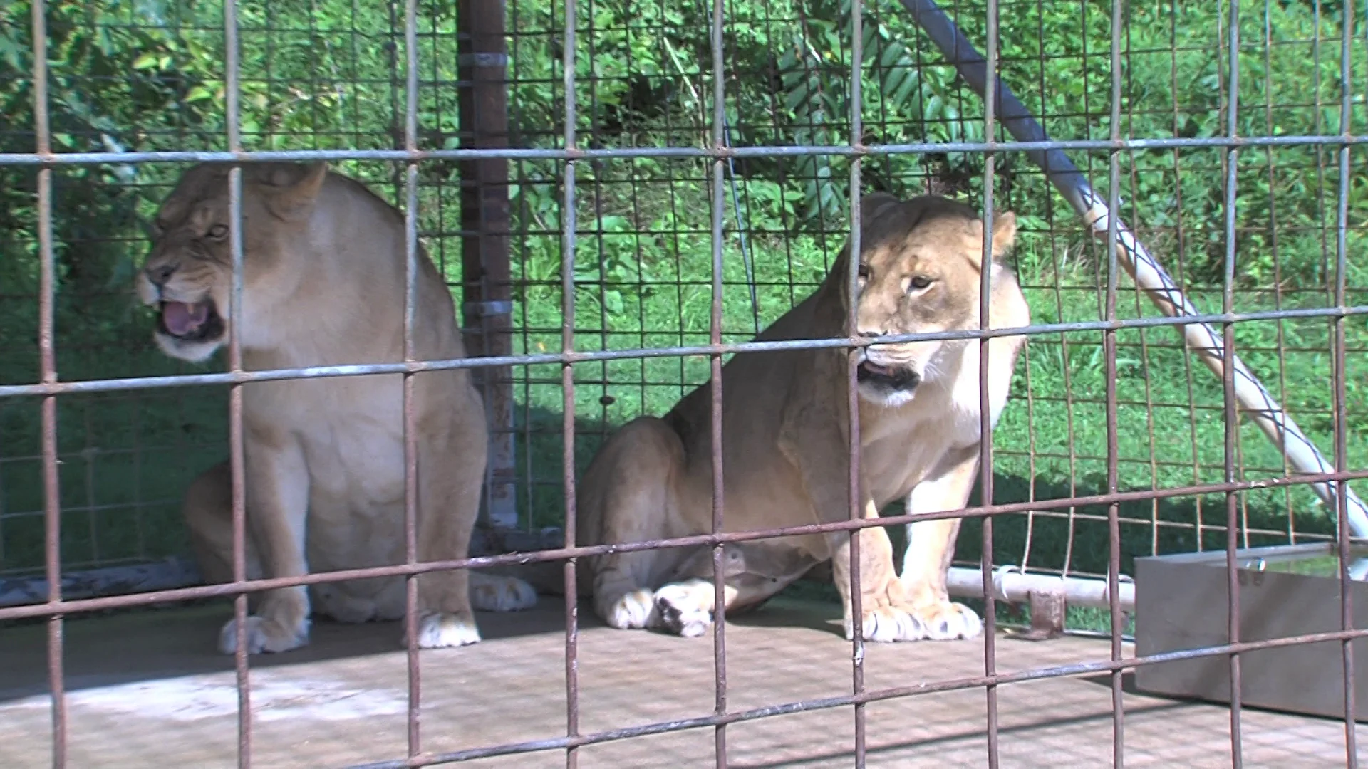 Oasis Television Productions - Non Profit Video Portfolio - East Coast ...