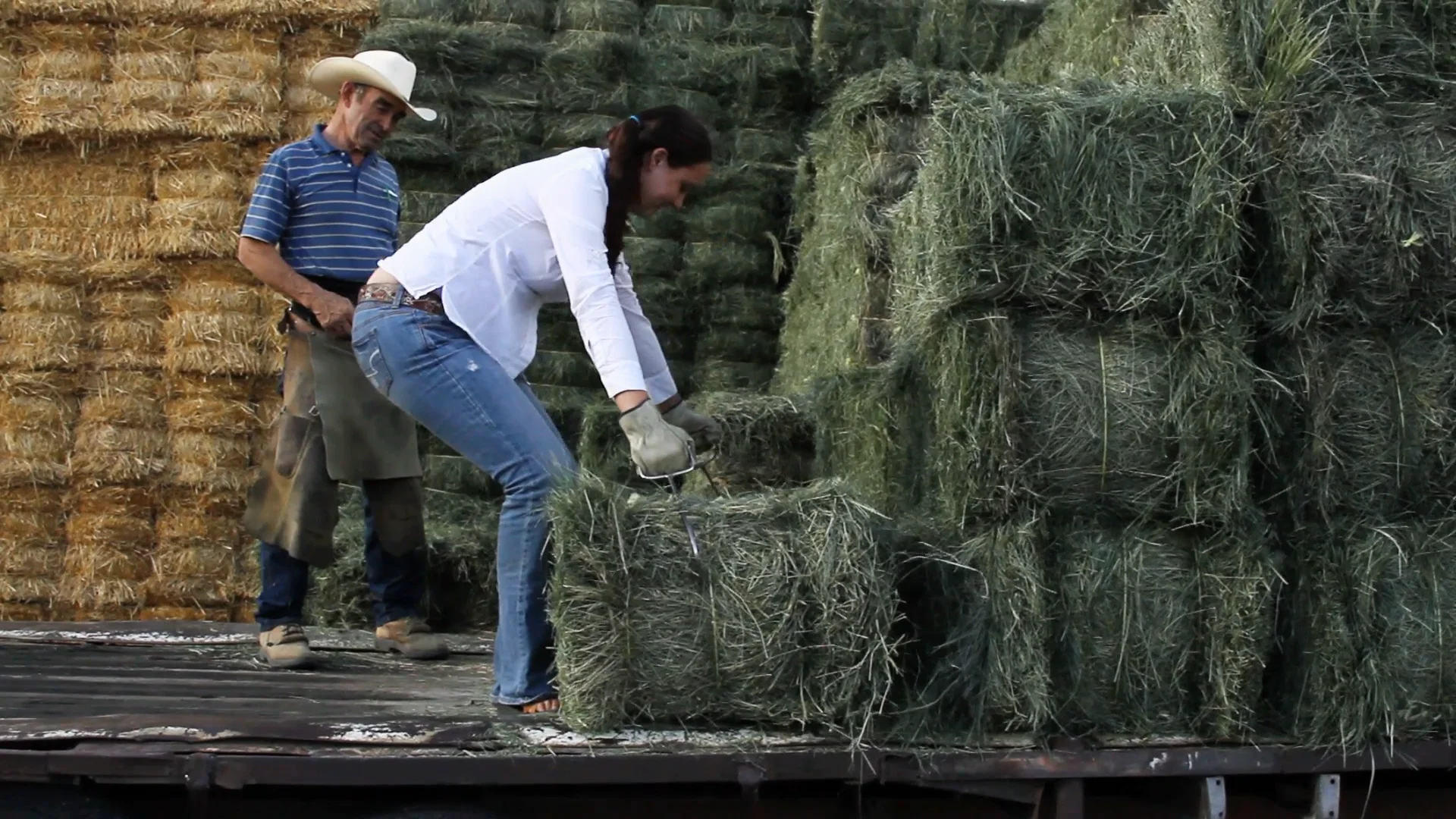 Watch American Bear Online | Vimeo On Demand on Vimeo