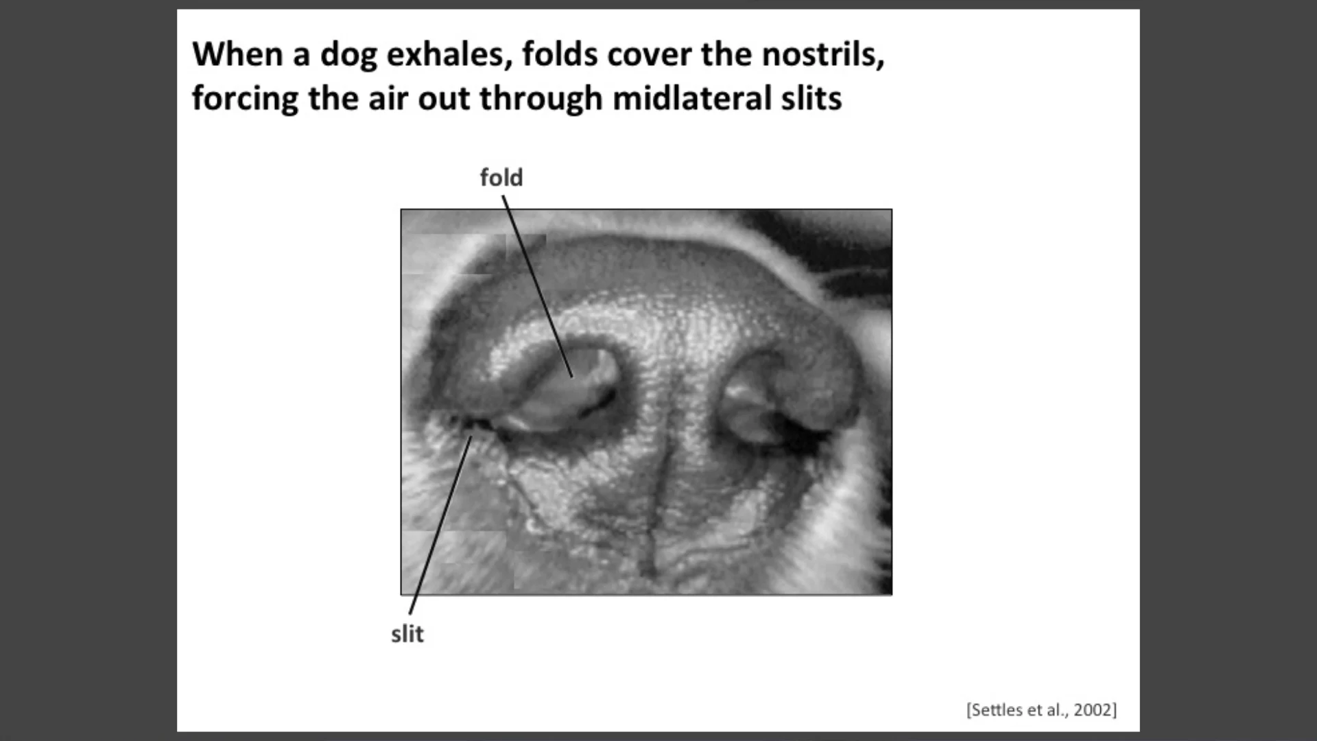 First Principle of the Assertion-Evidence Approach to Presentations on ...