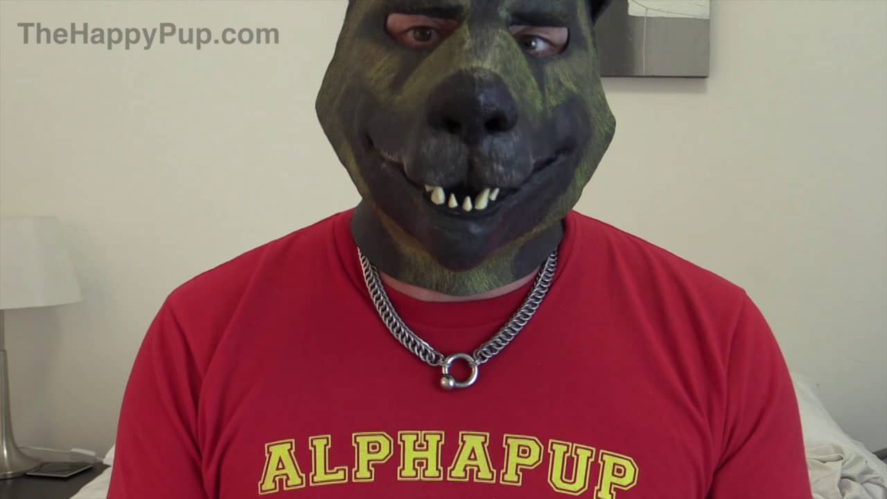 discreet slave pup collar | Chainmail collar | Human Pup Collar on Vimeo