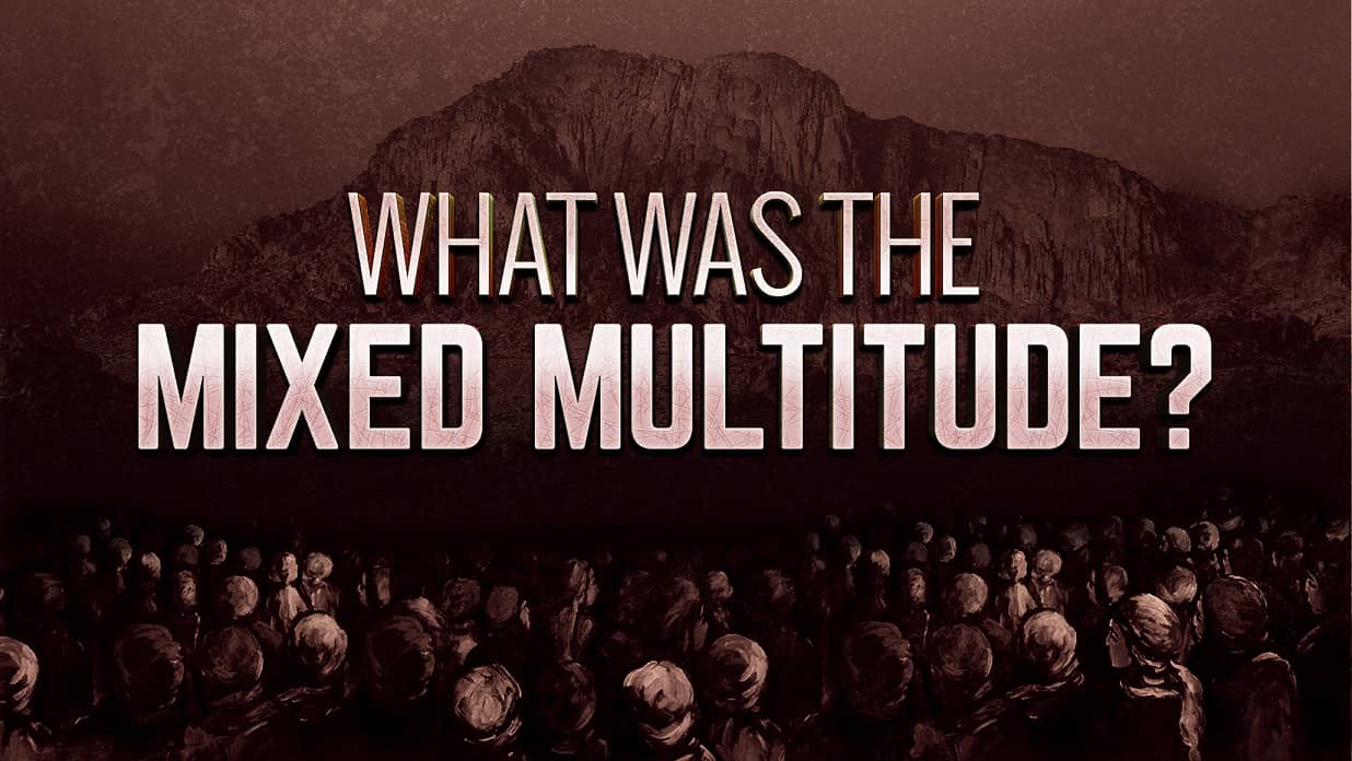 What Was The Mixed Multitude? on Vimeo