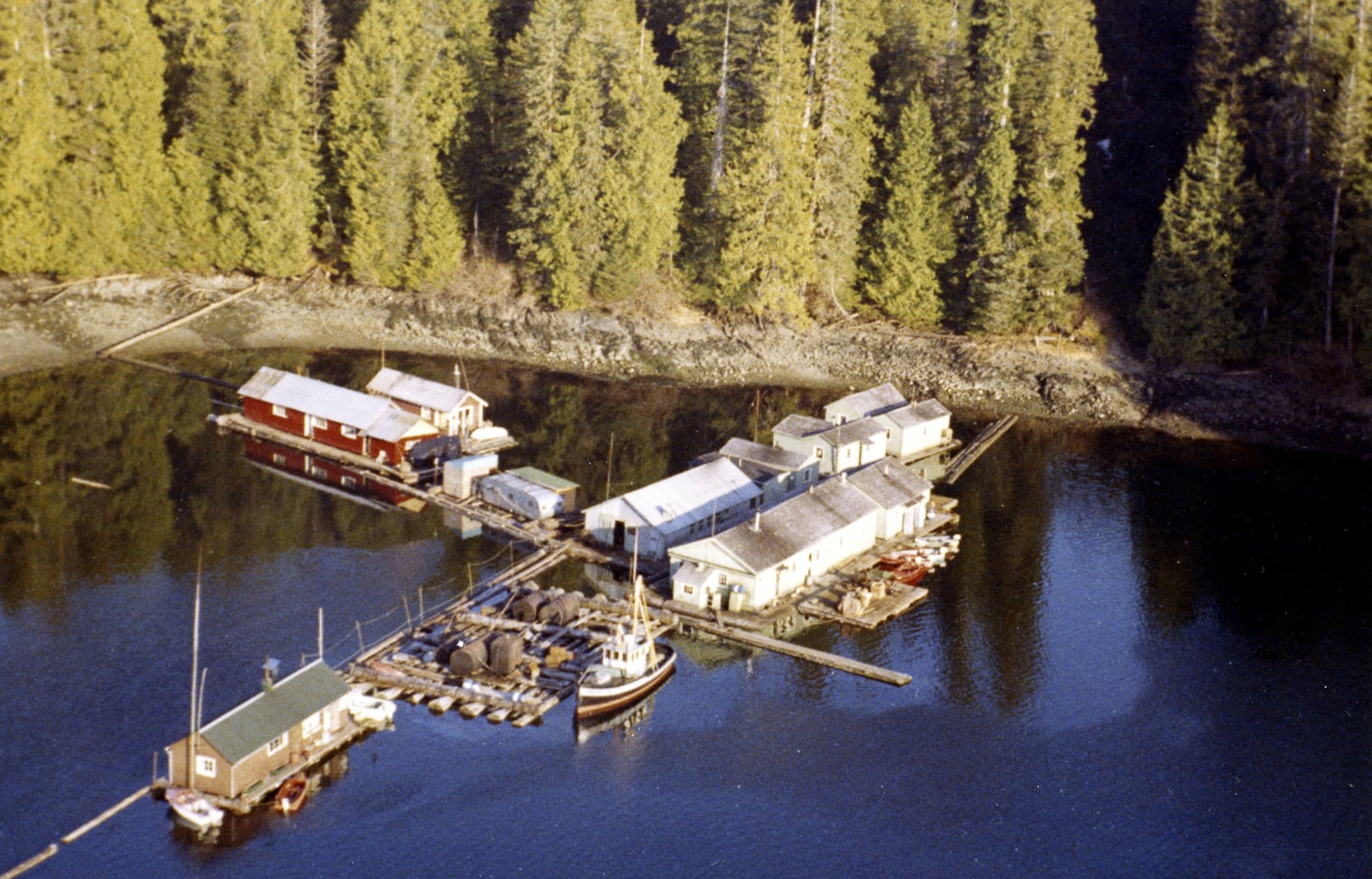 Ketchikan: The Timber Years Chapter 3 - Logging Bust on Vimeo